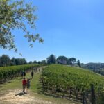 Farm To table Experience on an organic hilltop estate in Tuscany - What Tourers Are Saying