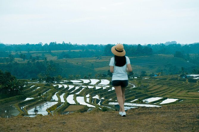 Fascinating UNESCO Site Tour in Bali - What You’ll Love About This Tour