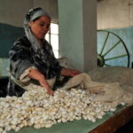 Fergana Valley 2 Day Private Tour By Train From Tashkent - Who Is This Tour Best For?