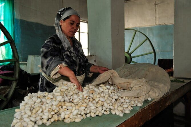 Fergana Valley 2 Day Private Tour By Train From Tashkent - Who Is This Tour Best For?