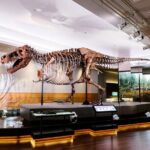 Field Museum Basic Admission Ticket with Tasting Experience - Frequently Asked Questions