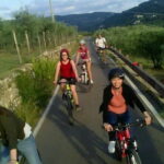 Fiesole: Tuscan Countryside Half Day E-Bike Tour & Farm visit - The Cost and Value