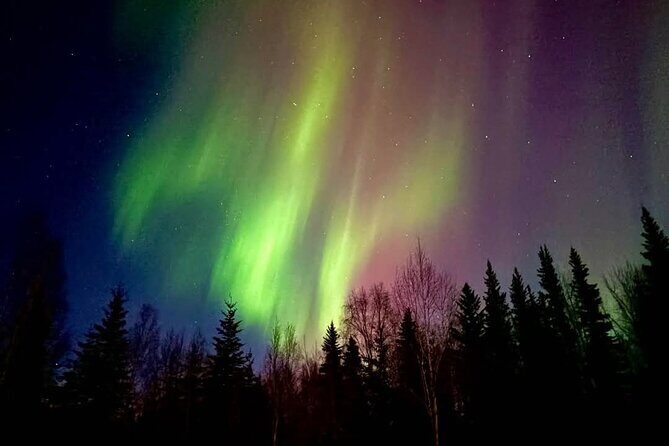 Fire & Ice: Chena Hot Springs, Ice Museum + Aurora Adventure - Authentic Traveler Experiences