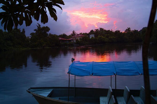 Fireflies Tour in Cherating - Detailed Breakdown of the Itinerary