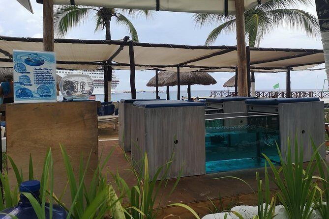 Fish Spa, Beach Break with Lounge Chairs, Umbrellas & Beach Area - Who Will Love This Experience?