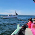 Fishing Experience with No Equipment Needed in Izumisano, Osaka - What’s Included and What’s Not