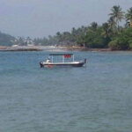 Fishing Tour in Mirissa - The Itinerary — What to Expect