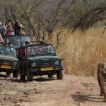 Five Days Golden Triangle Tour with Ranthambore Delhi Agra Jaipur - The Practical Side: What You Need to Know