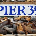 Flavors of Fisherman's Wharf: A Self Guided Audio Tour - What Travelers Say and What to Expect