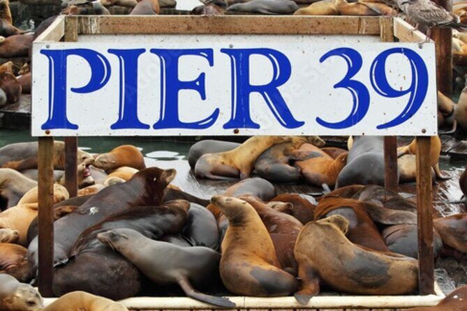 Flavors of Fisherman's Wharf: A Self Guided Audio Tour - What Travelers Say and What to Expect