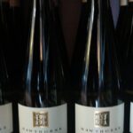 FLEXIBLE Go where you want NON-BUS Old Mission Wine Tour - What Travelers Say and Why It Matters