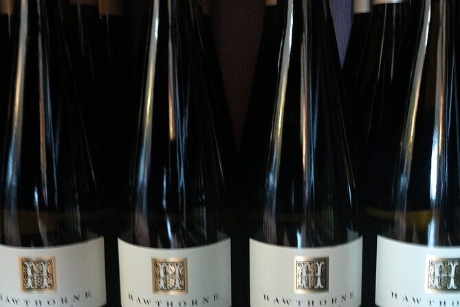 FLEXIBLE Go where you want NON-BUS Old Mission Wine Tour - What Travelers Say and Why It Matters