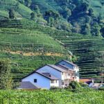 Flexible Hangzhou Private Tour from Shanghai by Bullet Train - Authentic Experiences and Real-World Value