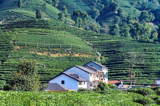 Flexible Hangzhou Private Tour from Shanghai by Bullet Train - Authentic Experiences and Real-World Value