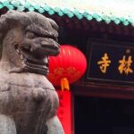 Flexible Luoyang Private Day Tour of Shaolin Temple and more - The Luoyang Museum and Other Choices