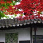 Flexible Suzhou City Highlights Private Day Tour with Authentic Lunch - The Practicalities for Travelers