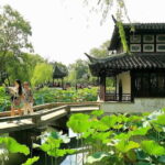 Flexible Suzhou Private Tour from Shanghai with First Class Bullet Train Option - What Travelers Say