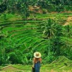 Floating Breakfast at Private jungle pool , Swing , Sunrise and Balinesse Spa - Value and Pricing: Is It Worth It?