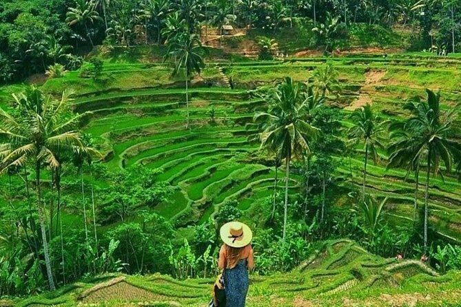 Floating Breakfast at Private jungle pool , Swing , Sunrise and Balinesse Spa - Value and Pricing: Is It Worth It?