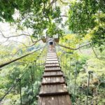 Flying Hanuman Zipline Adventure  Soar Through the Jungle! - What Travelers Say: Authentic Insights