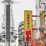 Food crawl: Discover Osakas soul with every step! - Who Would Enjoy This Tour?