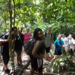 Forest Research Institute Malaysia (FRIM) Nature Trekking Tour - The Nature Trekking Experience