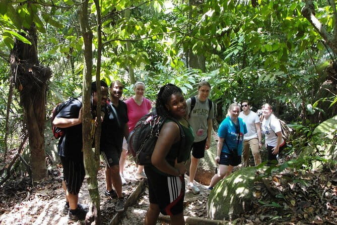 Forest Research Institute Malaysia (FRIM) Nature Trekking Tour - The Nature Trekking Experience