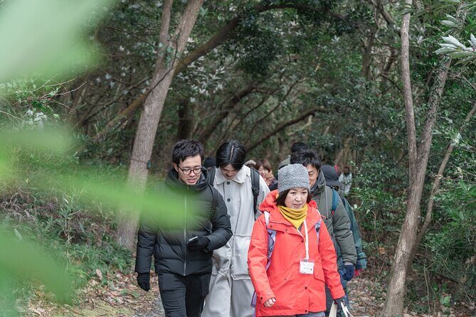 Forest Therapy in Sasaguri town - Practical Details and What to Expect