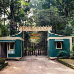 Forest Walk and Birding Tour to Udawatte Kele, Kandy from Negombo - Who Will Love This Tour?