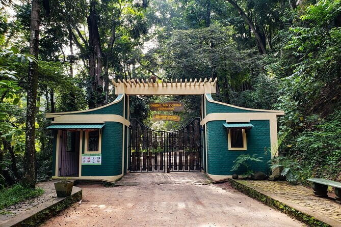 Forest Walk and Birding Tour to Udawatte Kele, Kandy from Negombo - Who Will Love This Tour?