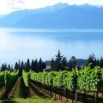 Fraser Valley Wine Escape Full Day Tour from Vancouver - Who Will Love This Tour?