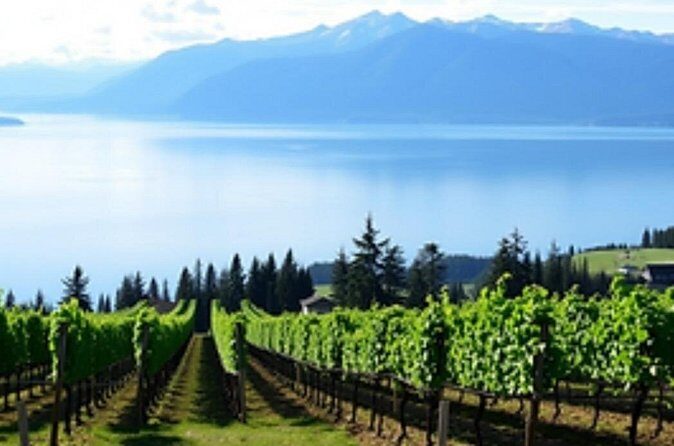 Fraser Valley Wine Escape Full Day Tour from Vancouver - Who Will Love This Tour?