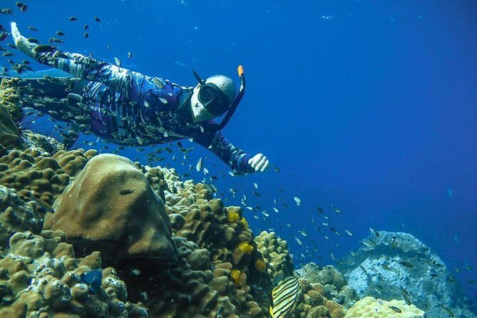 Freediver advanced (start at Koh Chang) - Why This Experience Offers Real Value