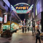 French-speaking tour of Tokyo between modernity and tradition - Practicalities & Value Analysis