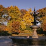 Friends Filming Locations in New York City with Private Guide - The Practicalities: What You Need to Know