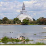 From Anuradhapura: Ancient City of Anuradhapura by Bike - FAQs
