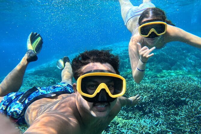 From Bali: Nusa Penida Full Day Tour and Snorkeling - The First Stop: Crystal Bay – Snorkel Amidst Vibrant Marine Life