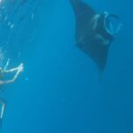 From Bali One Day Nusa Penida Tours with Manta Rays Snorkeling - Final Thoughts: Is It Worth It?