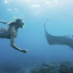 From Bali: Snorkeling Trip to Nusa Lembongan & nusa Penida island - An In-Depth Look at the Snorkeling Trip