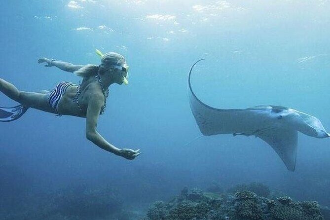 From Bali: Snorkeling Trip to Nusa Lembongan & nusa Penida island - An In-Depth Look at the Snorkeling Trip