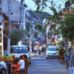 From Bentota: Southern Coast Highlights Private Day Tour - The Practical Side: How This Tour Works for You