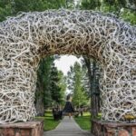 From Bozeman Yellowstone and Teton Tour 3 Days and 2 Nights - Who Will Appreciate This Tour?