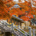 From Busan: Gyeongju UNESCO World Heritage Guided Day Tour - The Practicalities