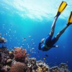 From Cebu: Island Hopping to 3 islands with BBQ lunch - What’s Included and What’s Not