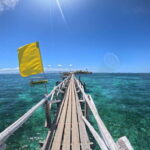 From Cebu: Island Hopping to 3 islands with BBQ lunch - An In-Depth Look at the Itinerary