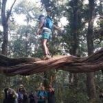 From Chitwan: Day Tour Jeep Safari+Canoeing+Jungle walk - Detailed Breakdown of the Itinerary