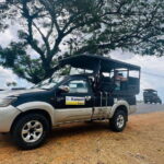 From Colombo: 4-Day Sri Lanka Round Tour with Airport - An In-Depth Look at the 4-Day Sri Lanka Tour