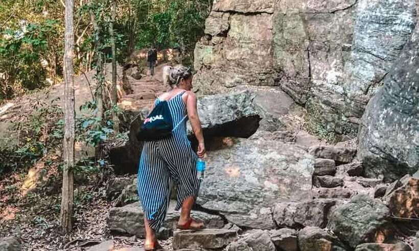 From Colombo: Dambulla and Pidurangala Rock climb Day Trip - Who Will Love This Tour?