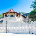 From Colombo - Day Trip to Kandy/ Pinnwala/ Royal Gardens - Value Analysis and Practical Tips