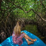 From Colombo: Galle,Bentota Full-Day Private Tour - What to Expect: An In-Depth Look at the Day